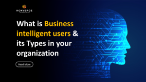 Type Of Business Intelligent Users In Your Organization