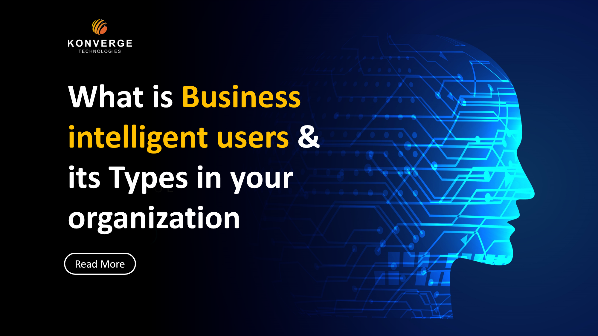 Type Of Business Intelligent Users In Your Organization